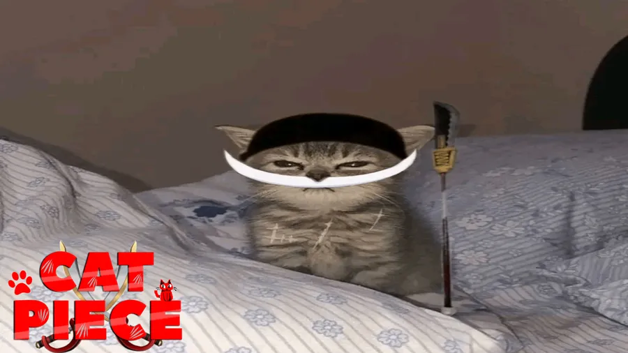 Cat Piece Codes | 9 Active Codes for April 2024 - RoCodes